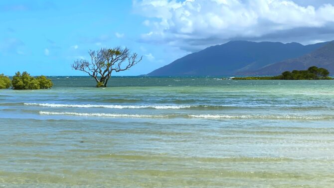 Day Trips out of Cairns, Far North Queensland | Destination4WD